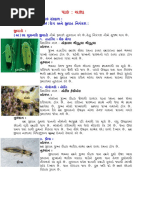 Candlestick Chart Gujrati Feb 2021 | PDF