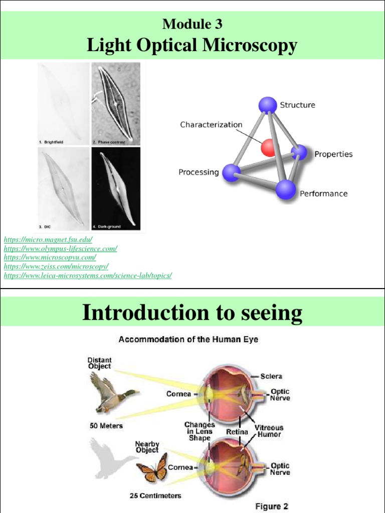 Optical Microscopy Class | PDF | Microscopy | Angular Resolution