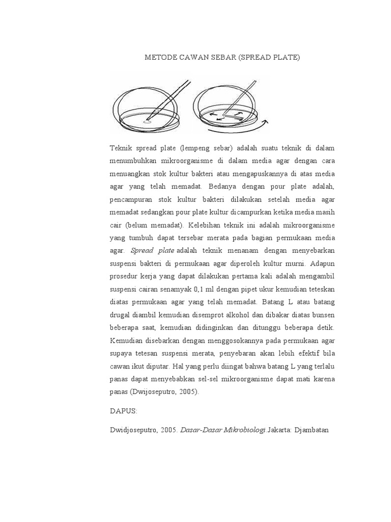 Teknik Spread Plate Mikrobiologi | PDF