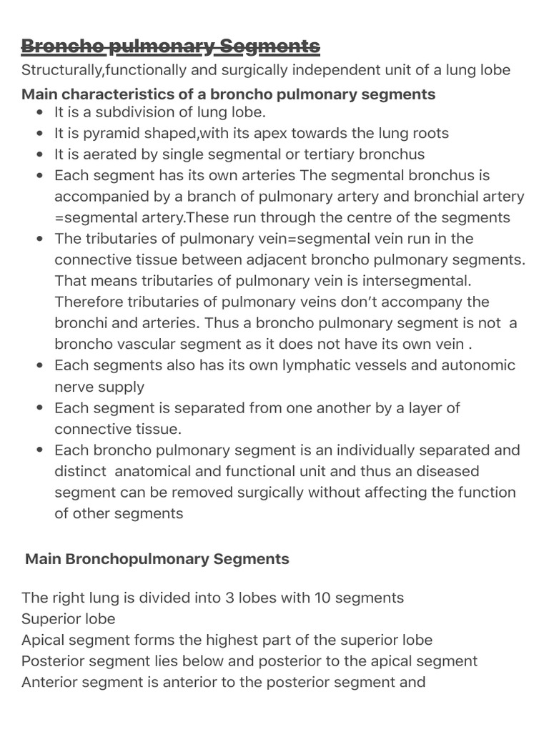 Broncho Pulmonary Segments | PDF | Lung | Angiology