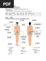 Medical Terms in Mandarin | PDF | Rtt | Medicine