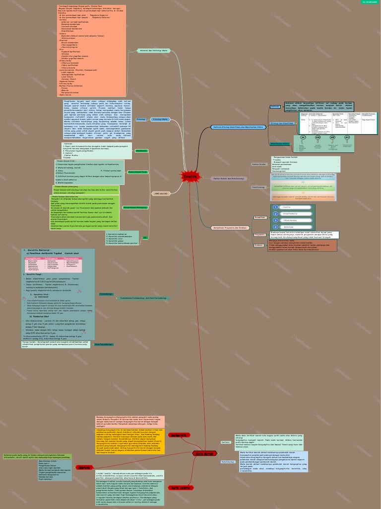 Panduan Lengkap Keratitis: Gejala dan Pengobatan | PDF