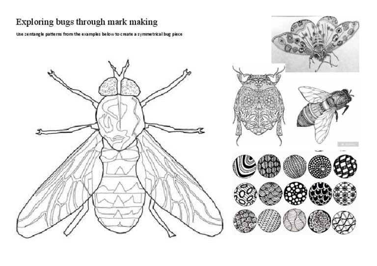 Zentangle Bug Worksheet | PDF