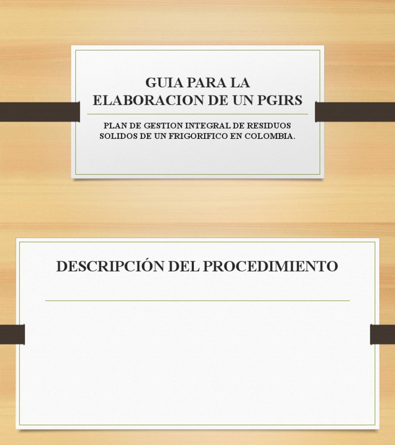 Formulacion Guia para La Elaboracion de Un Pgirs | PDF