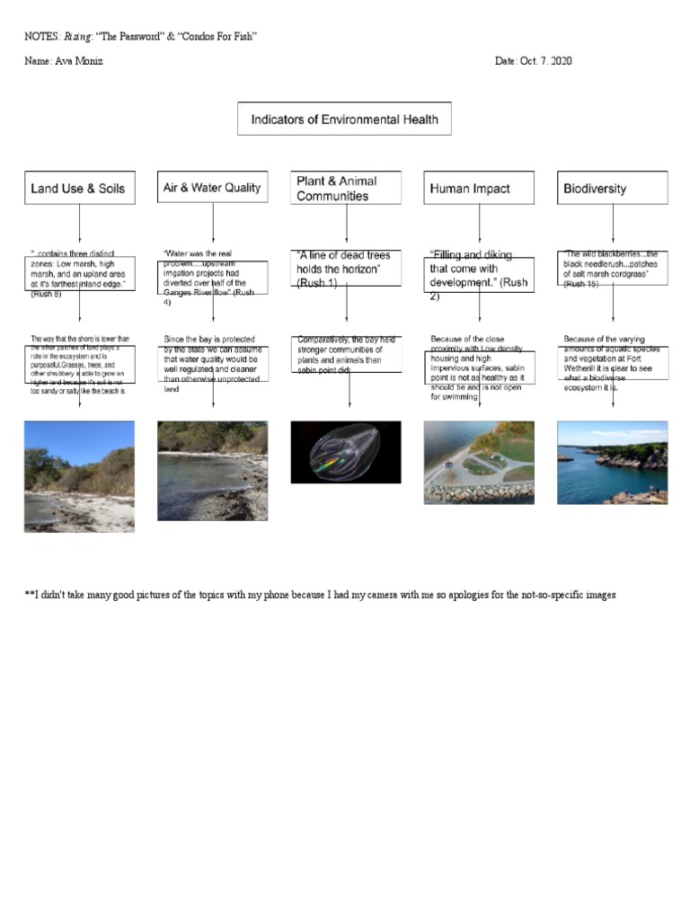 Ava Moniz - Environmental Health Indicators 5 Graphic Organizer | PDF