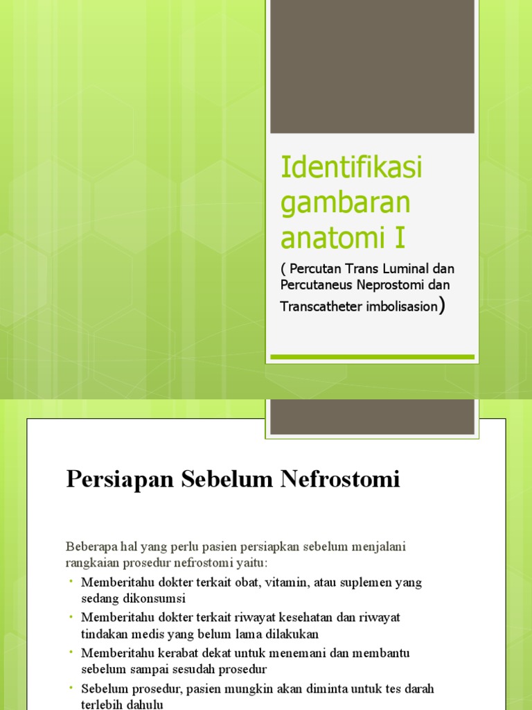Identifikasi Gambaran Anatomi I | PDF