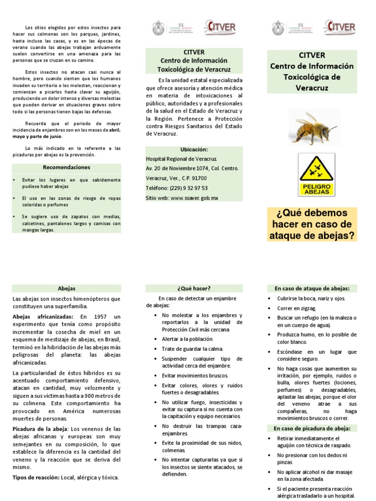 Tríptico Picadura de Abejas | PDF | Abejas | Naturaleza