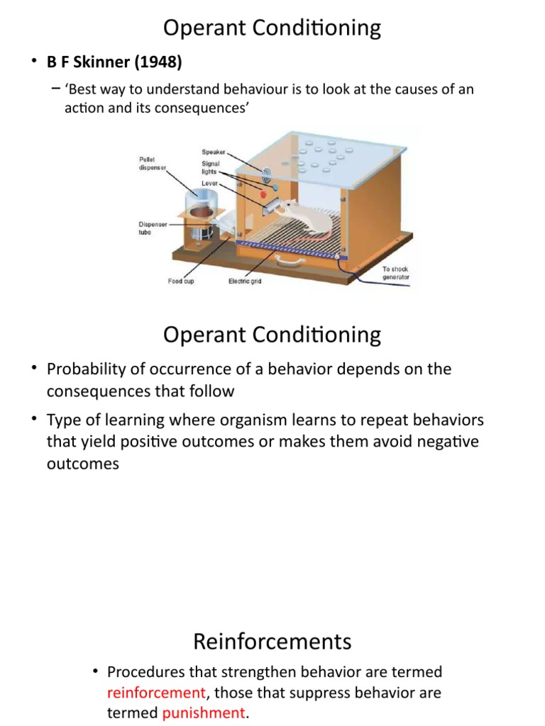 Operant Conditioning: - B F Skinner (1948) | PDF | Reinforcement | Psychological Theories