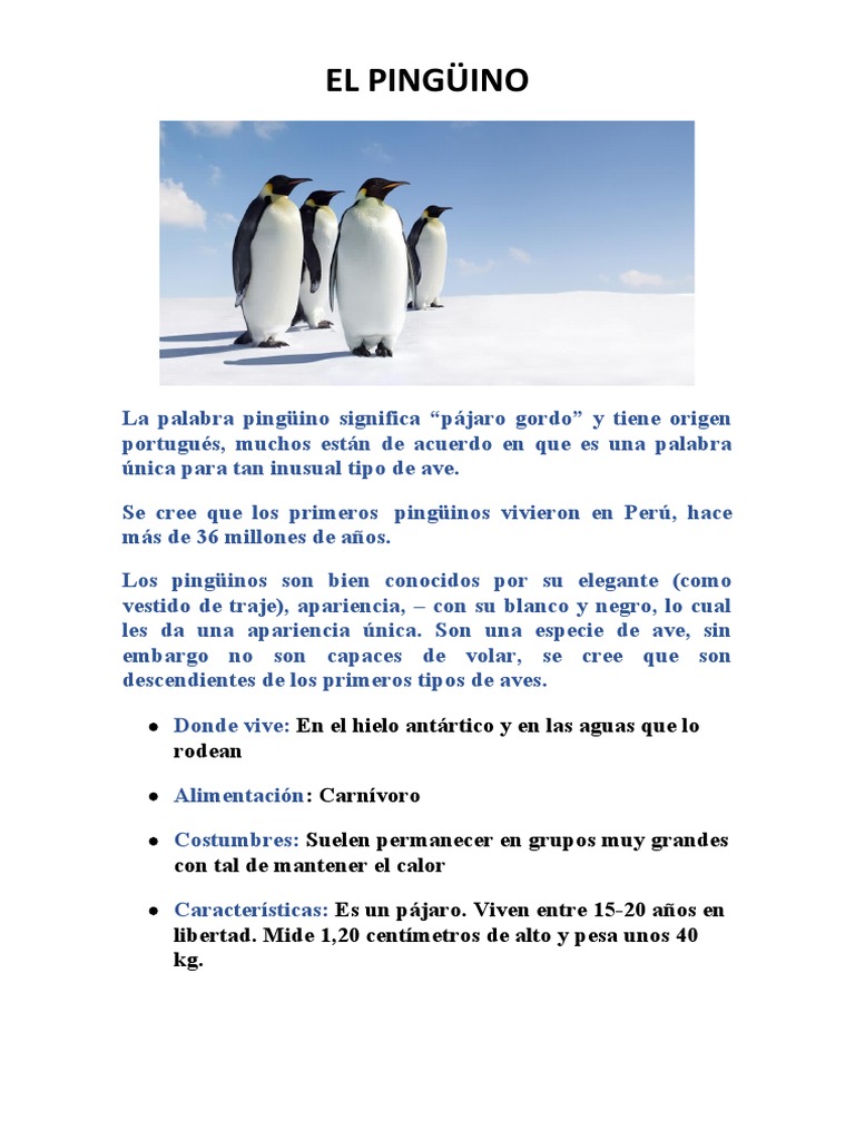 El Pingüino | PDF