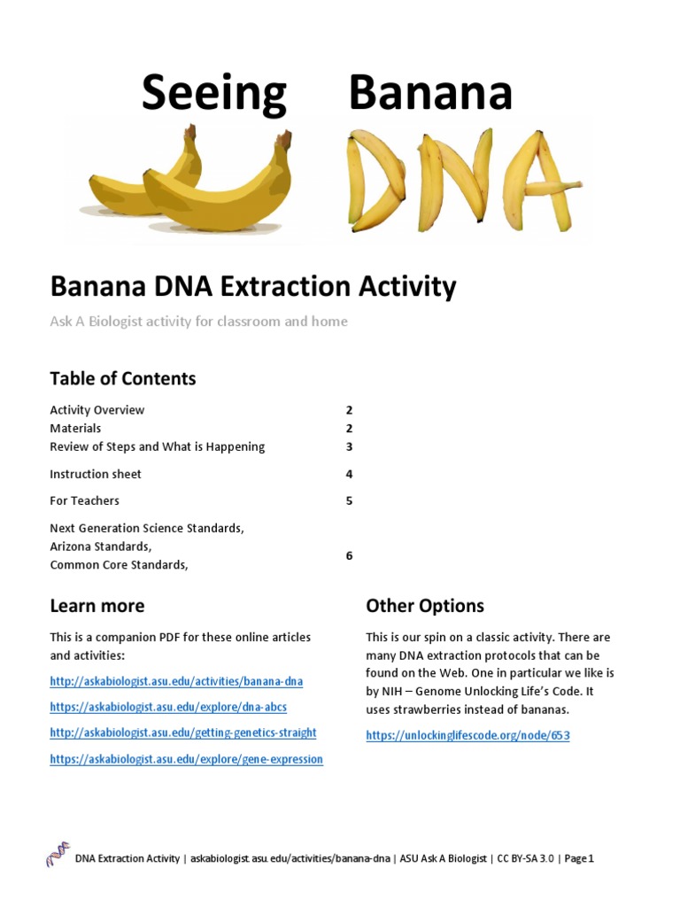 Banana DNA Extraction Guide | PDF | Cell (Biology) | Gene