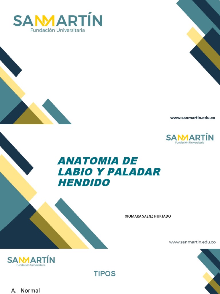 Tipos de Paladar en Bebés | PDF | Boca | Cabeza y cuello humanos