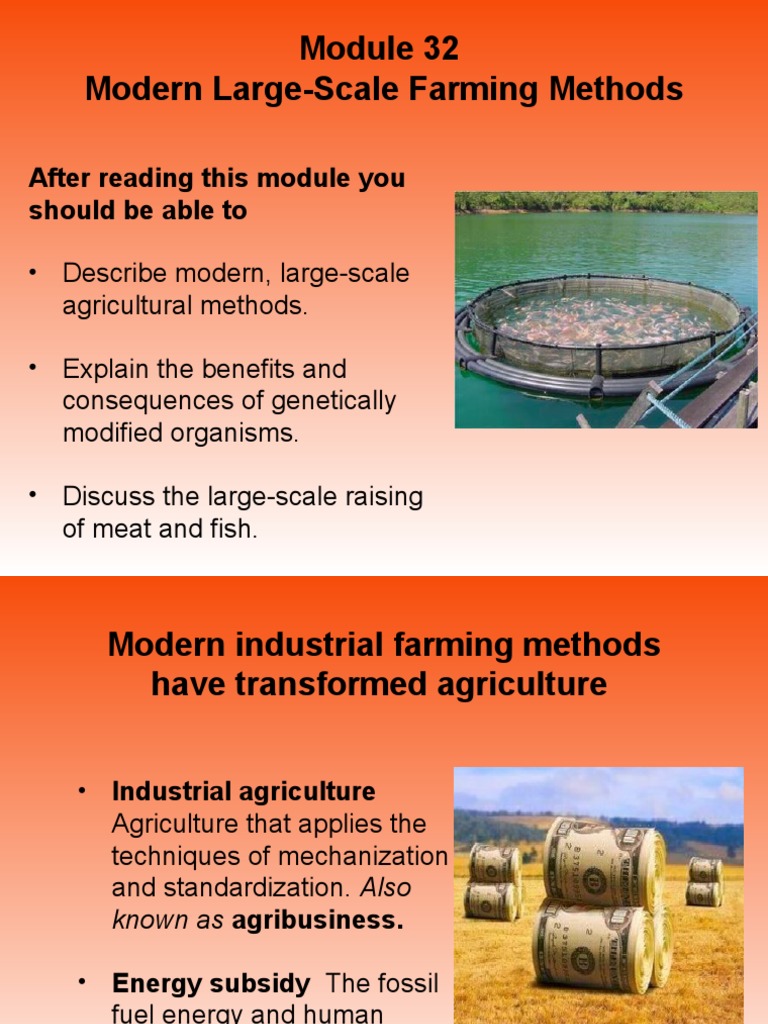 Modern Large-Scale Farming Methods: After Reading This Module You ...