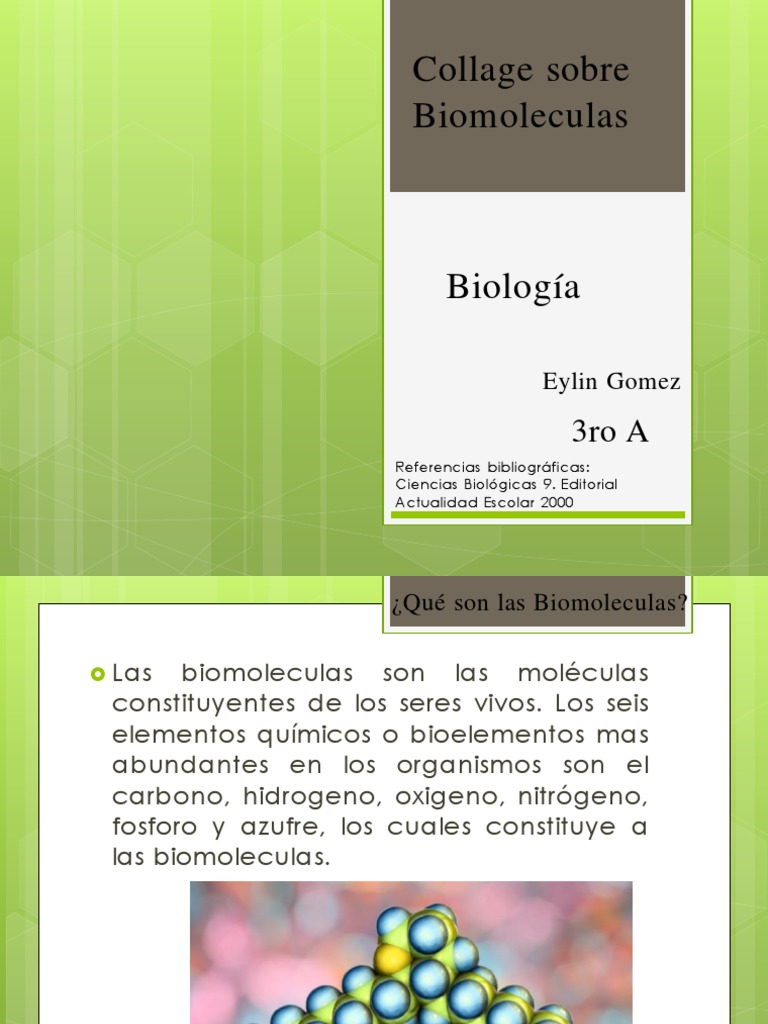 Collage Sobre Las Biomoleculas | PDF | Biomoléculas | Compuestos orgánicos