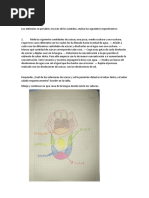 Prueba Sensorial de Escala Hedonica 9 Puntos | PDF