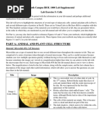 Onion Cell and Cheek Cell Lab | PDF | Cell (Biology) | Anatomy