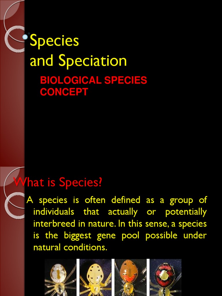 Species and Speciation | PDF | Species | Hybrid (Biology)