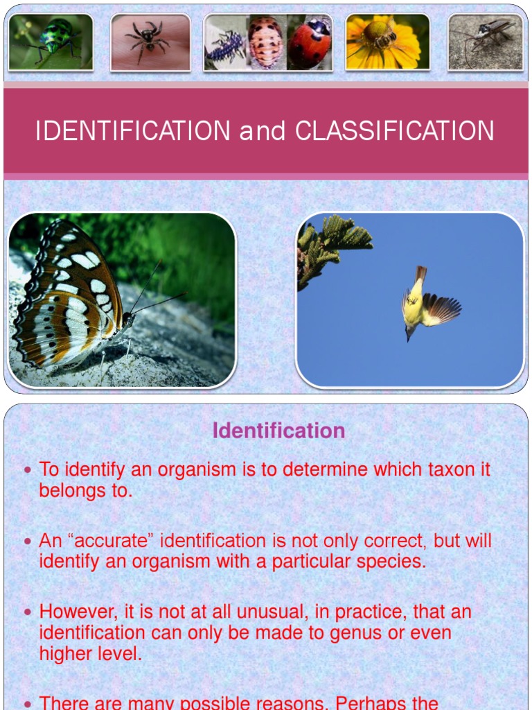 Identification and Classification | PDF | Species | Hybrid (Biology)