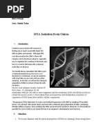 Extraction of DNA Onions | PDF | Cell (Biology) | Cell Nucleus
