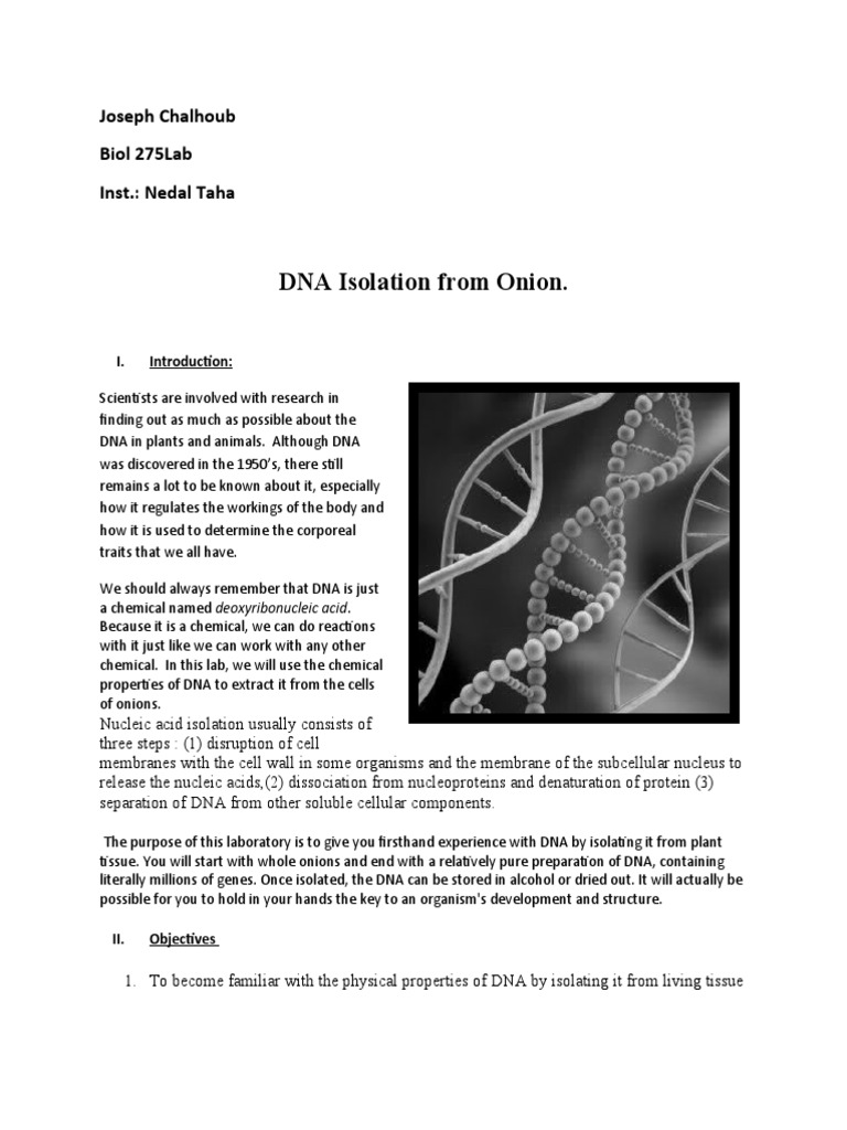 DNA Isolation From Onion | PDF | Dna | Ion