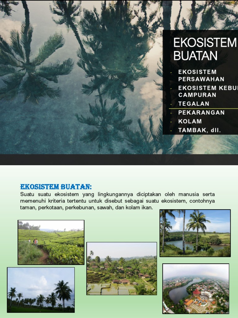 10 - 11. Ekosistem Buatan 2 | PDF