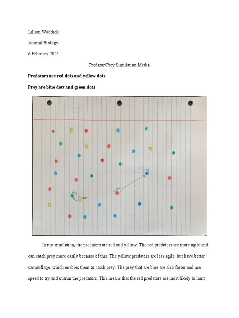 Predator Prey Simulation Media | PDF | Science & Mathematics