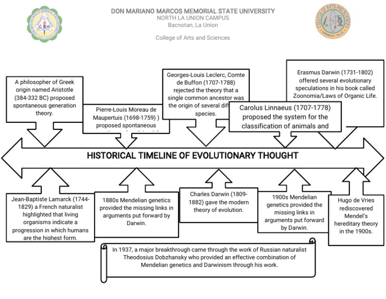 Evolutionary Thought Timeline | PDF | Biology | Organisms
