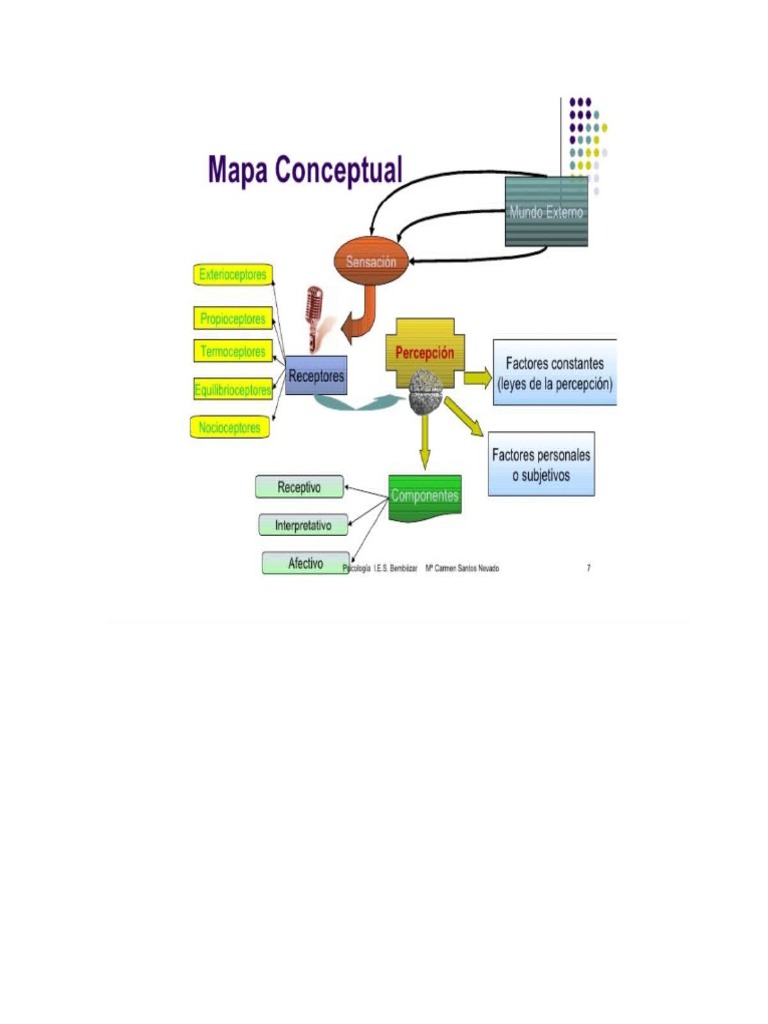 Mapa Mental Percepcion | PDF