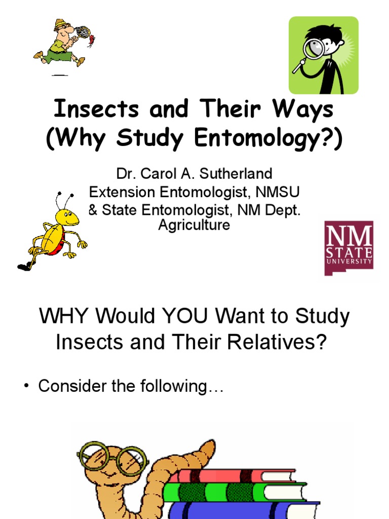 Insects and Their Ways (Why Study Entomology?) | PDF | Insects | Fly