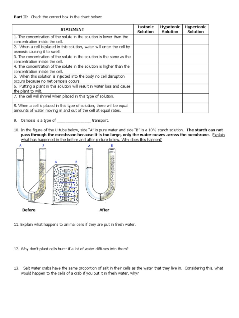 Osmosis and Tonicity Worksheet | PDF | Osmosis | Life Sciences