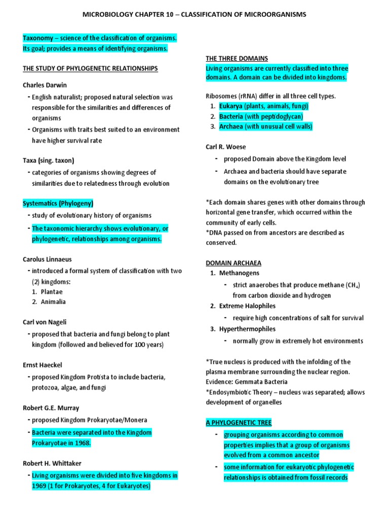 CHAPTER 10 Microbiology | PDF | Polymerase Chain Reaction | Bacteria