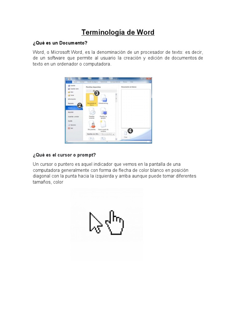 Terminología de Word | PDF | Microsoft Word | Software