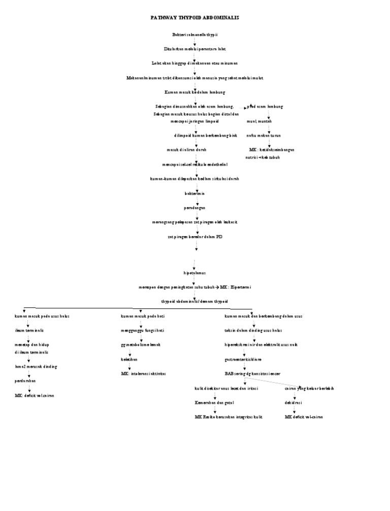 Pathway Thypoid Abdominalis Dan Gastroenteritis | PDF