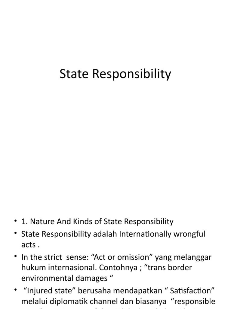 State Responsibility | PDF