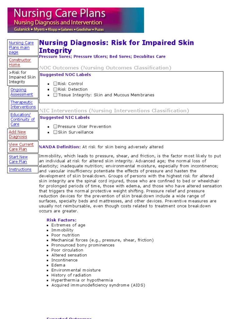 Risk For Impaired Skin Integrity | PDF | Medicine | Diseases And Disorders