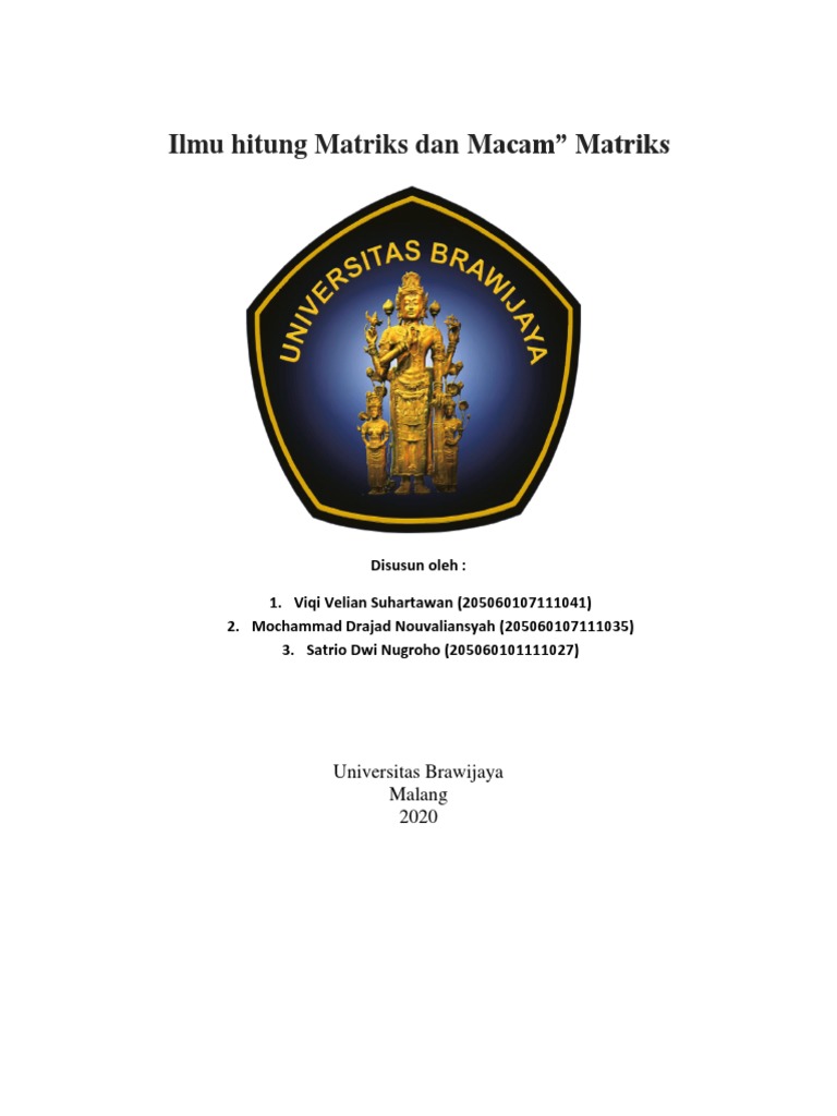 Ilmu Hitung Matriks Dan Matriks Identitas Dan Elementer | PDF