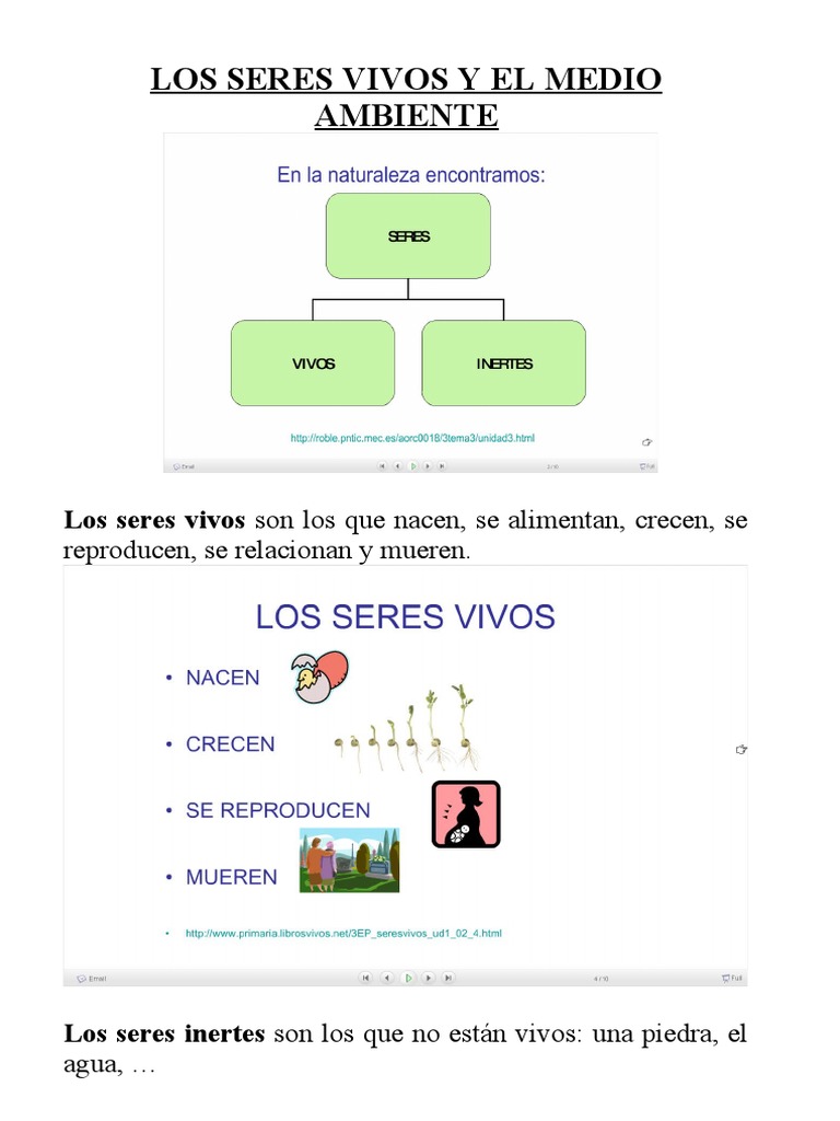 Los Seres Vivos y El Medio Ambiente | PDF | Suelo | Organismos
