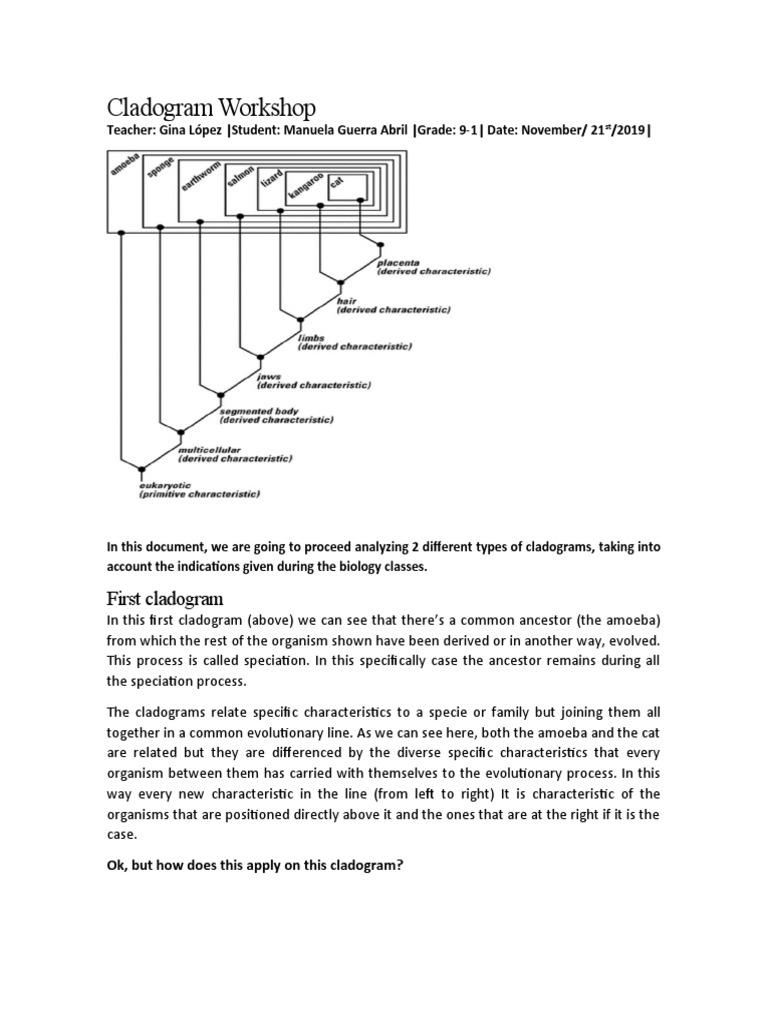 Cladogram | PDF | Clade | Organisms