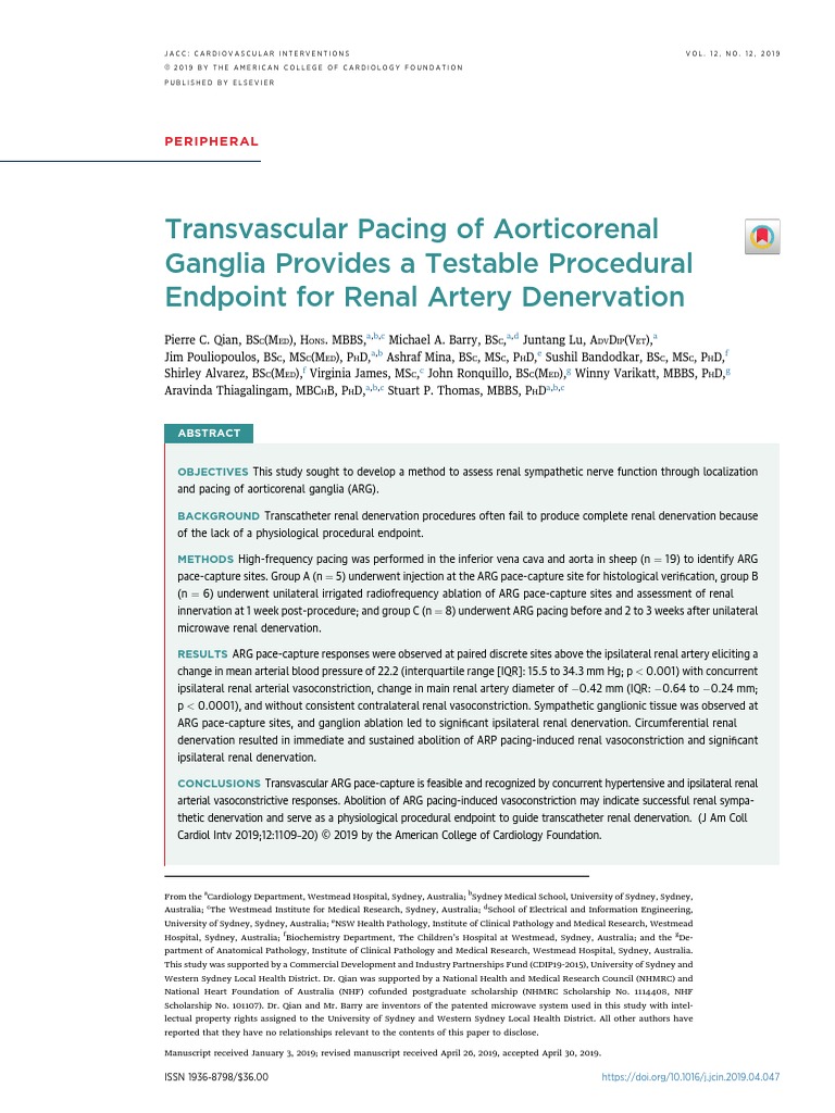 Qian Et Al Transvascular Pacing of ARG | PDF | Vasodilation | Kidney