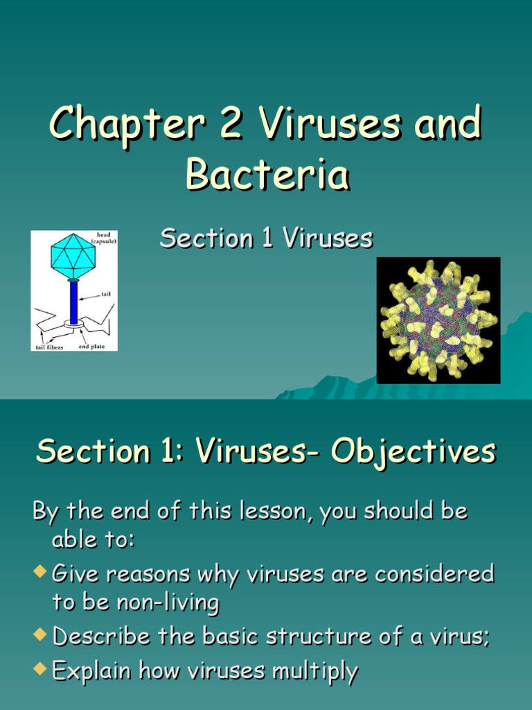 6th Grade Science Chapter 2 Viruses and Bacteria | PDF | Cell (Biology ...