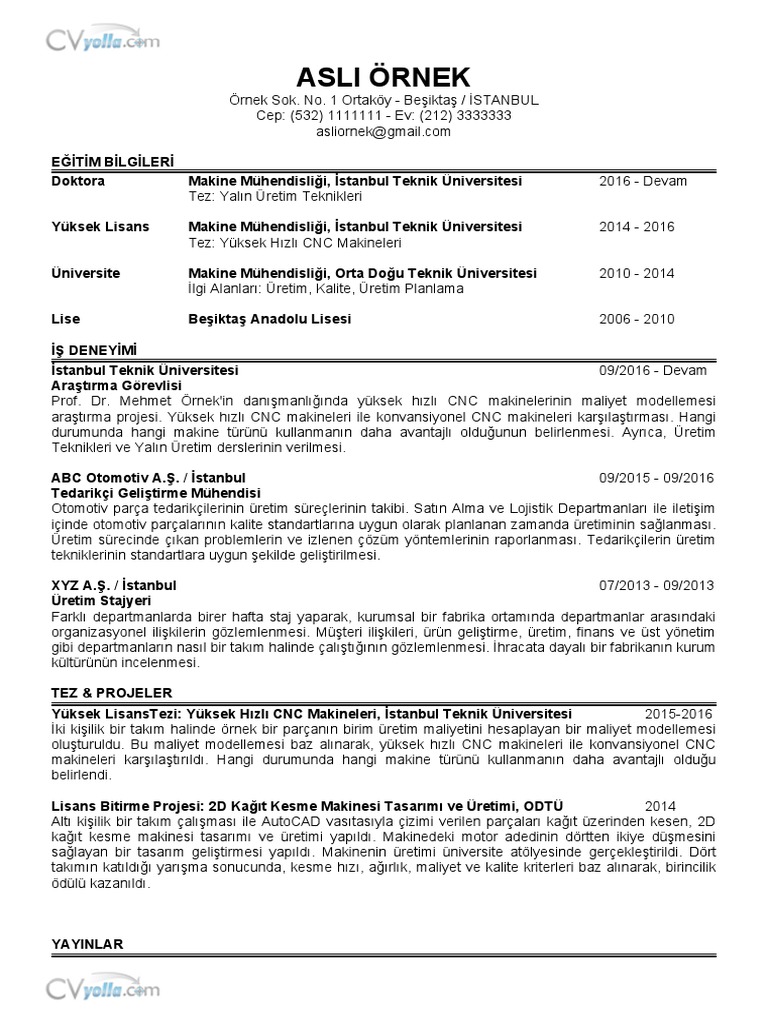 Akademik CV Ornegi TR 1 | PDF