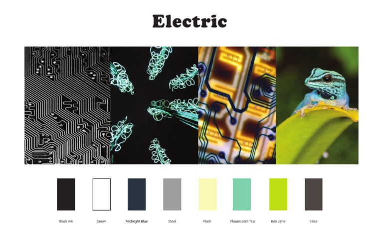 Electric Color Palette Guide | PDF