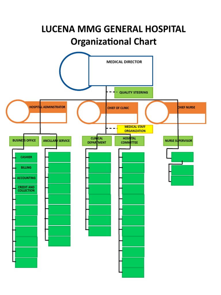 Hospital Organizational Chart | PDF