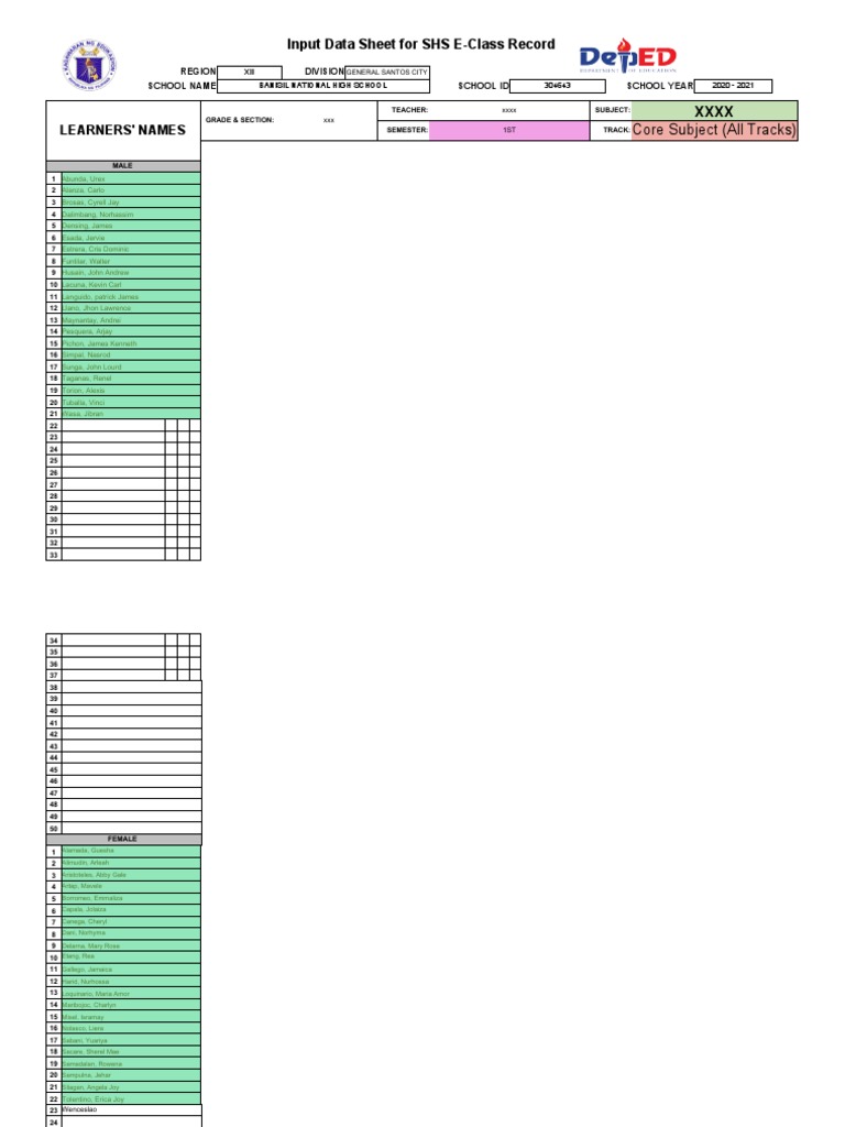 Input Data Sheet For SHS E-Class Record: Learners' Names | PDF