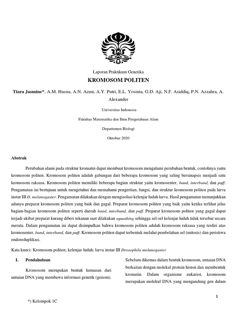 Tiara Jasmine - 1906308330 - C1 - Kromosom Politen | PDF