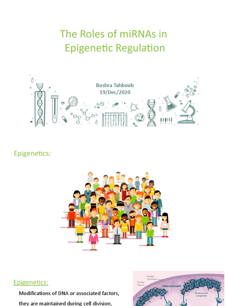 The Roles of Mirnas in Epigenetic Regulation: Bushra Tahboub 19/dec ...