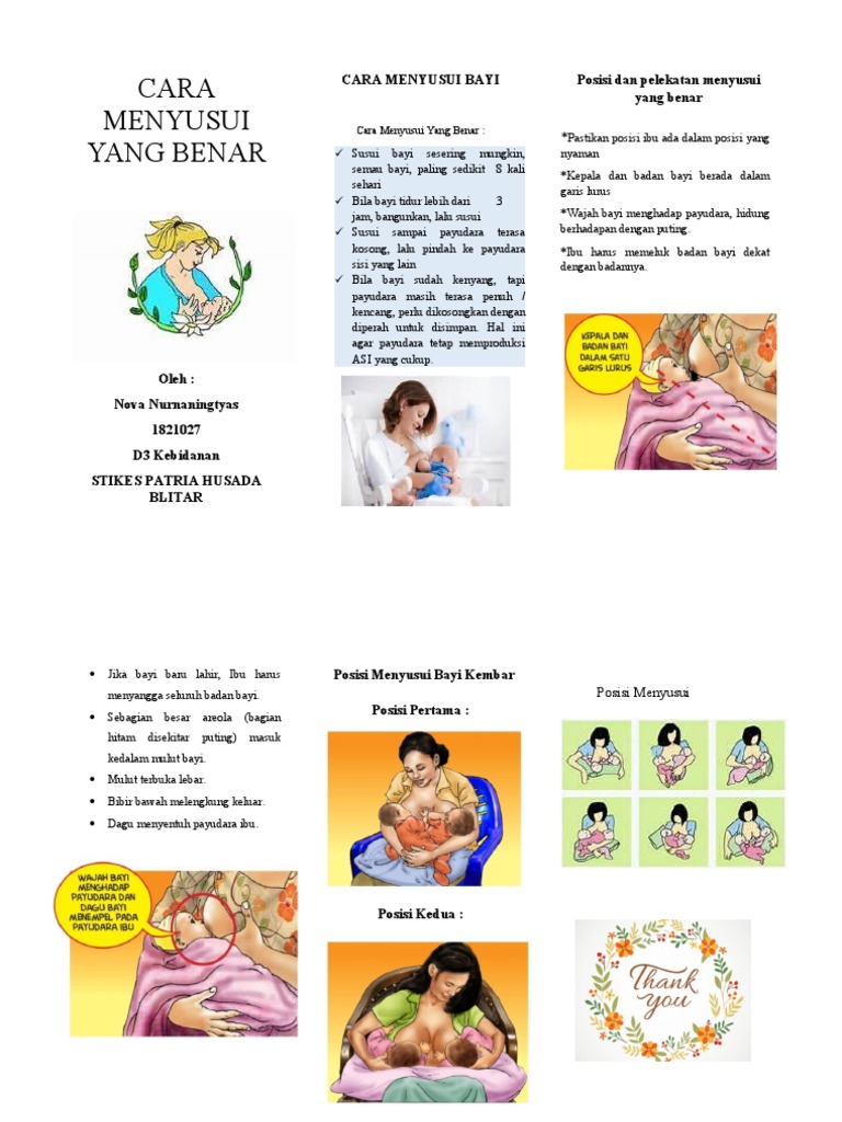 Panduan Menyusui untuk Ibu Baru | PDF