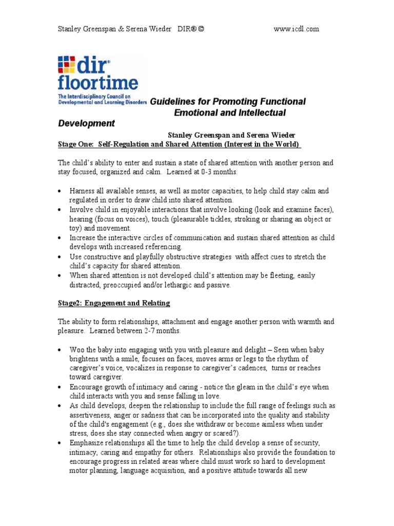 DIR Guidelines For Promoting Functional Emotional and Intellectual ...