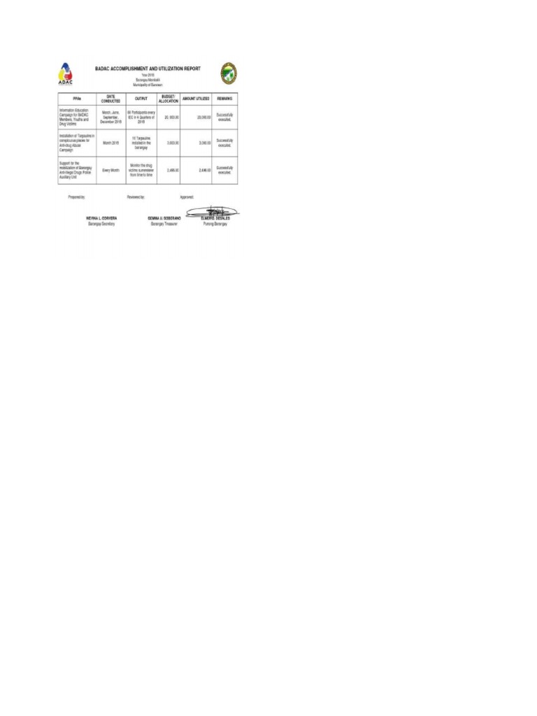 Sample Badac Utilization Report | PDF
