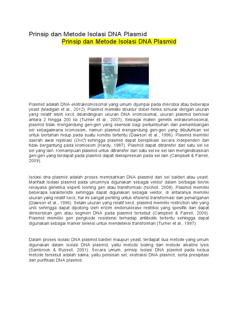 Isolasi DNA Plasmid | PDF