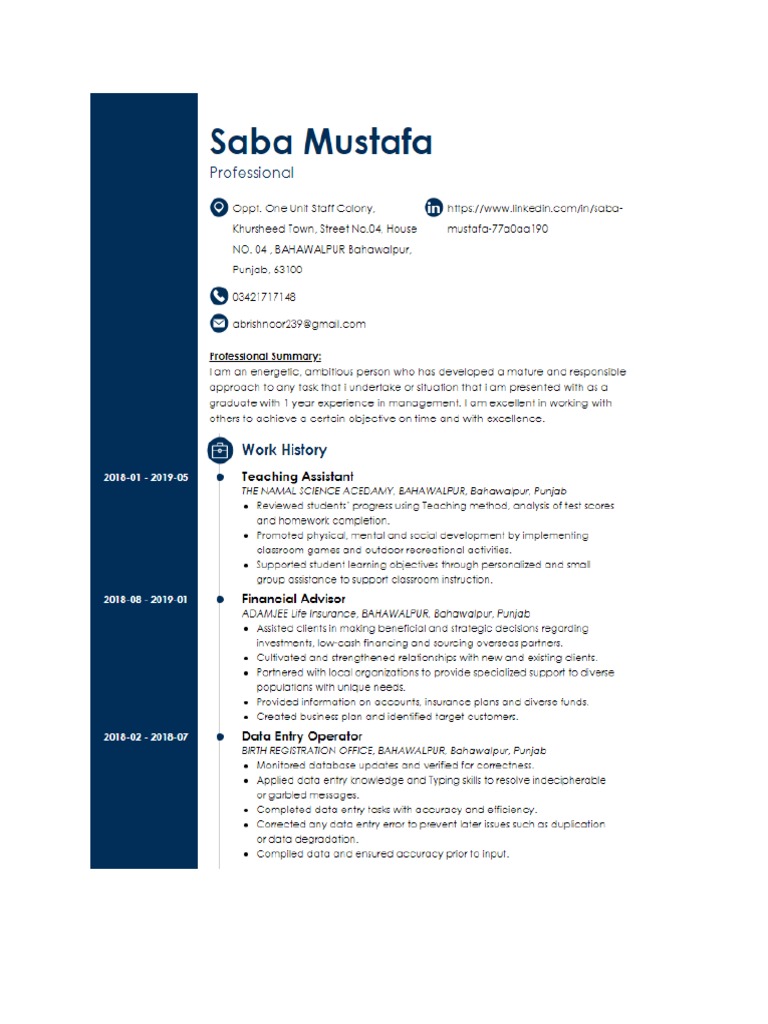 Saba CV | PDF